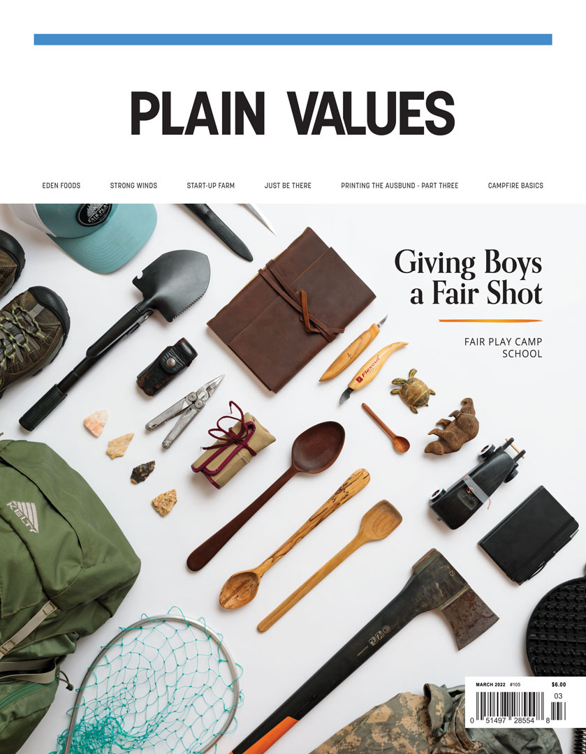 Issue 105 | March 2022 - Plain Values